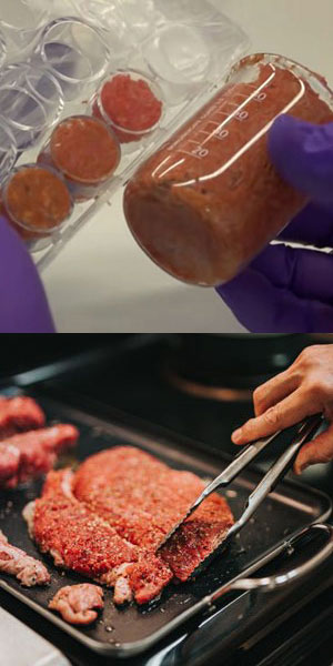 How Cultured Meat Could Revolutionize The Food Industry